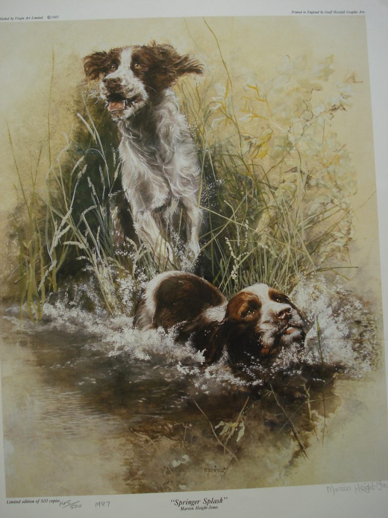 Springer Splash M Height-Jones Print | British Sporting Art