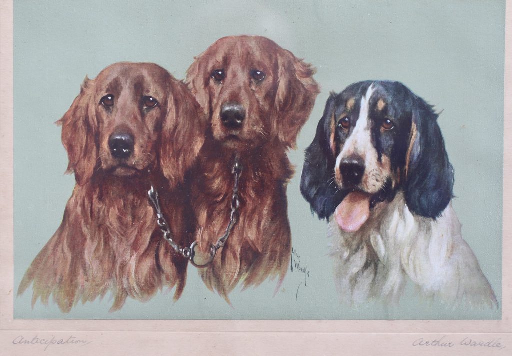 Dogs Arthur Wardle Print British Sporting Art dogs-arthur-wardle-print-british-sporting-art