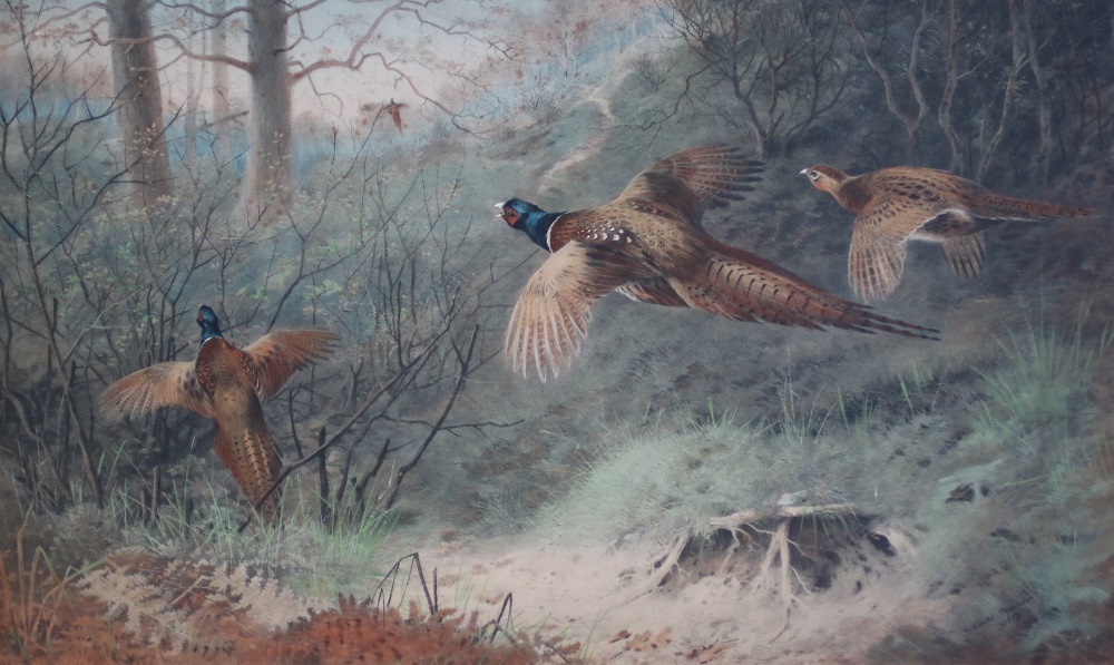 Archibald Thorburn | British Sporting Art