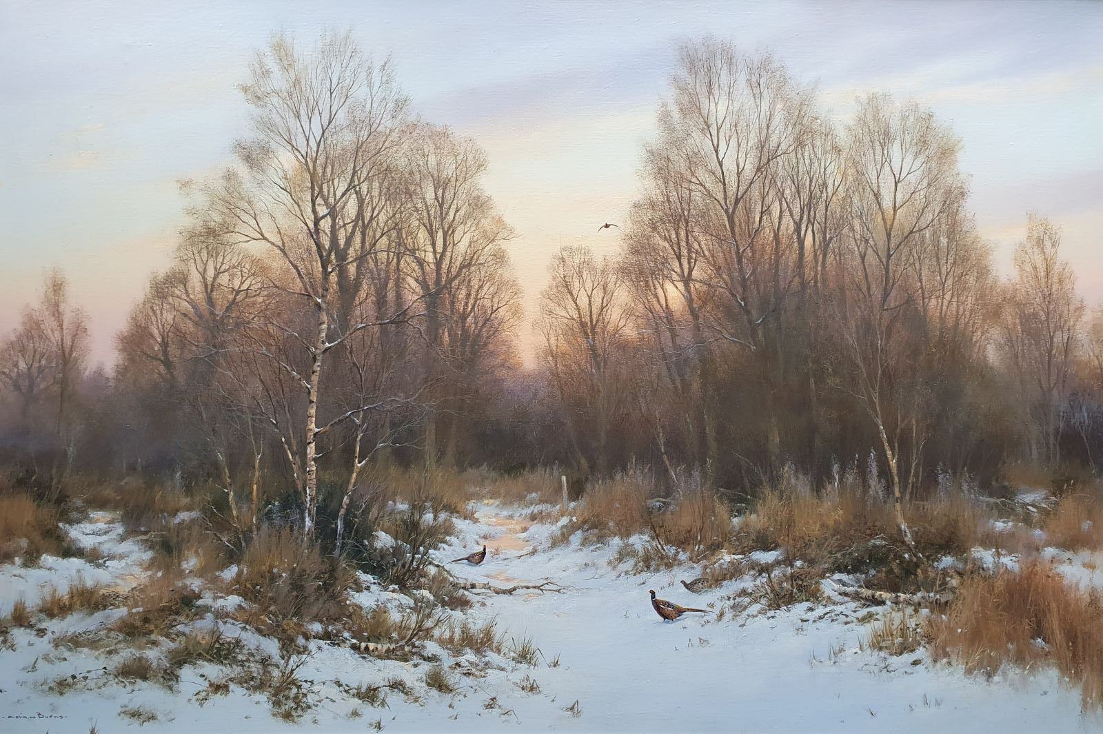 Colin Burns Archives - British Sporting Art British Sporting Art