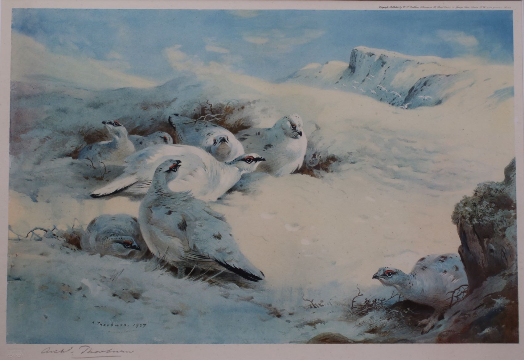 Sunshine & Drift on the High Tops Ptarmigan - Pencil Signed Print ...